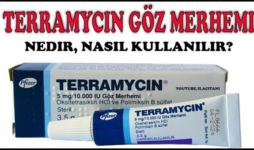 Terramycin Göz Merhemi Nasıl Kullanılır - Sürmanşet Samsun Haber